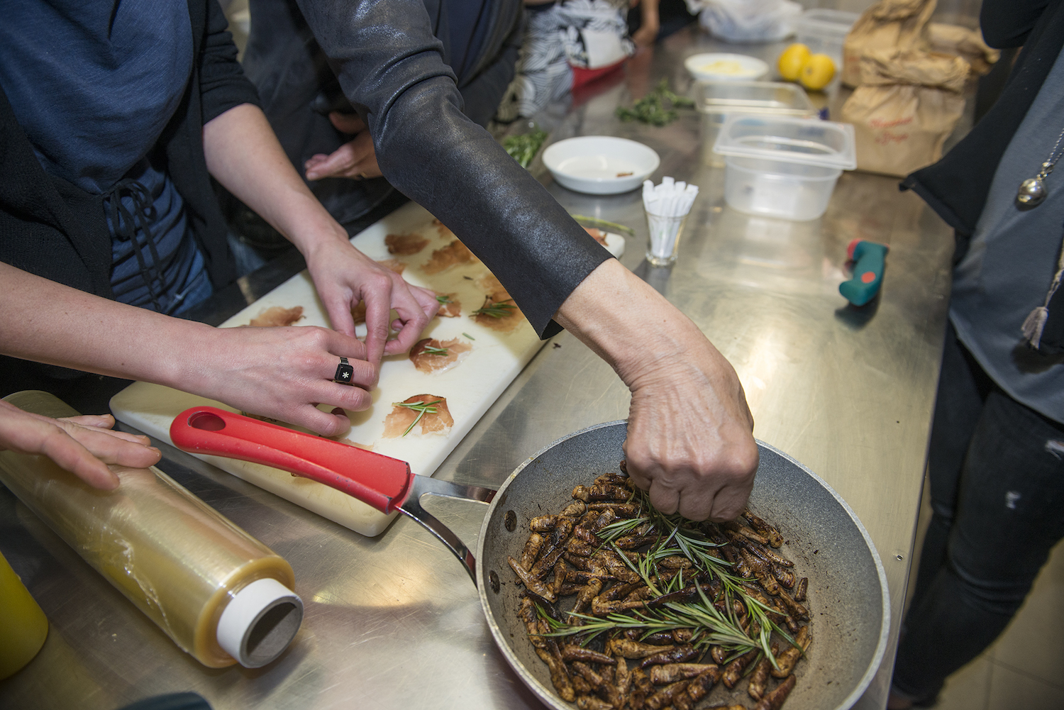 Cooking with Insects | MikroKosmos