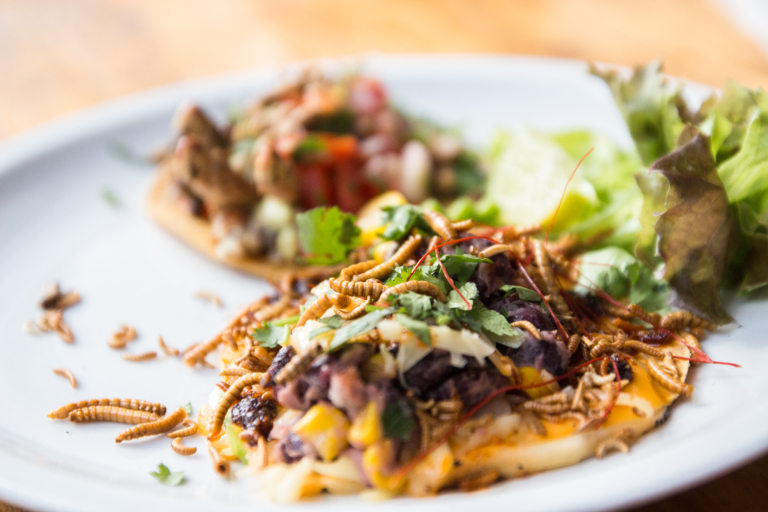 POP-UP: Y porque no, los Bichos? INSECT TACOS, OLÉ! | MikroKosmos