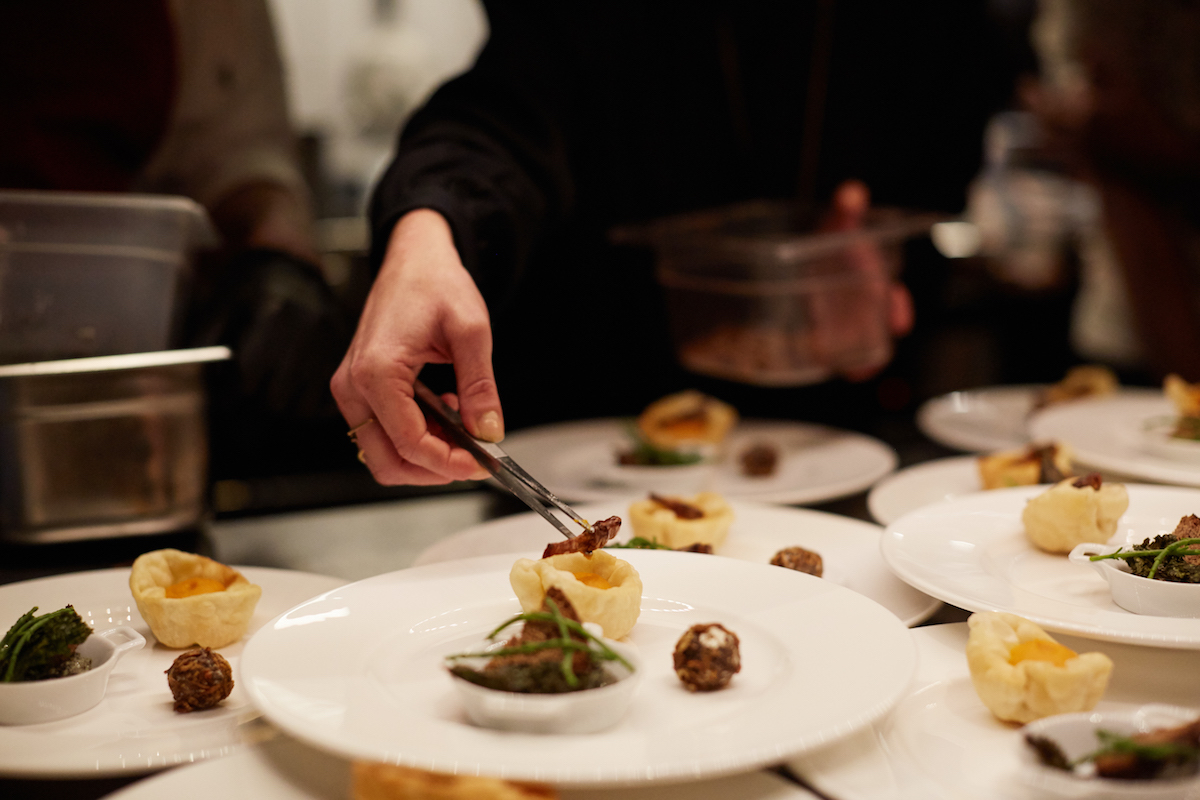 Fine Dining with Insects | MikroKosmos