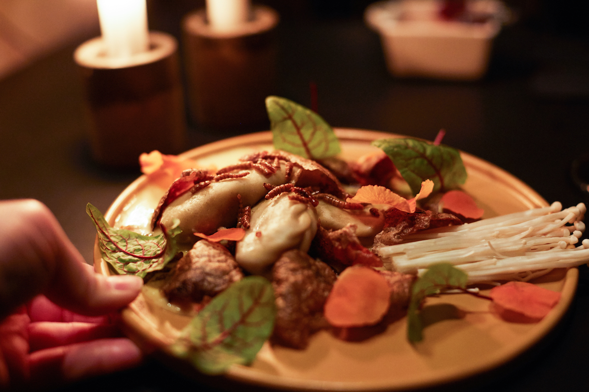 Fine Dining with Insects | MikroKosmos