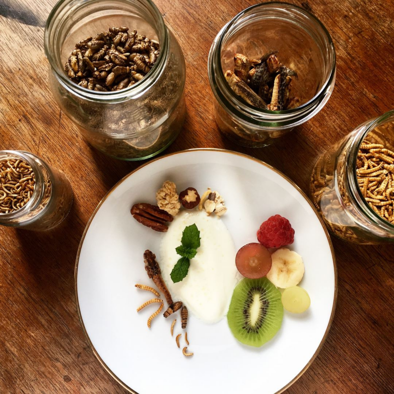 COOK INSECTS AT HOME | MikroKosmos